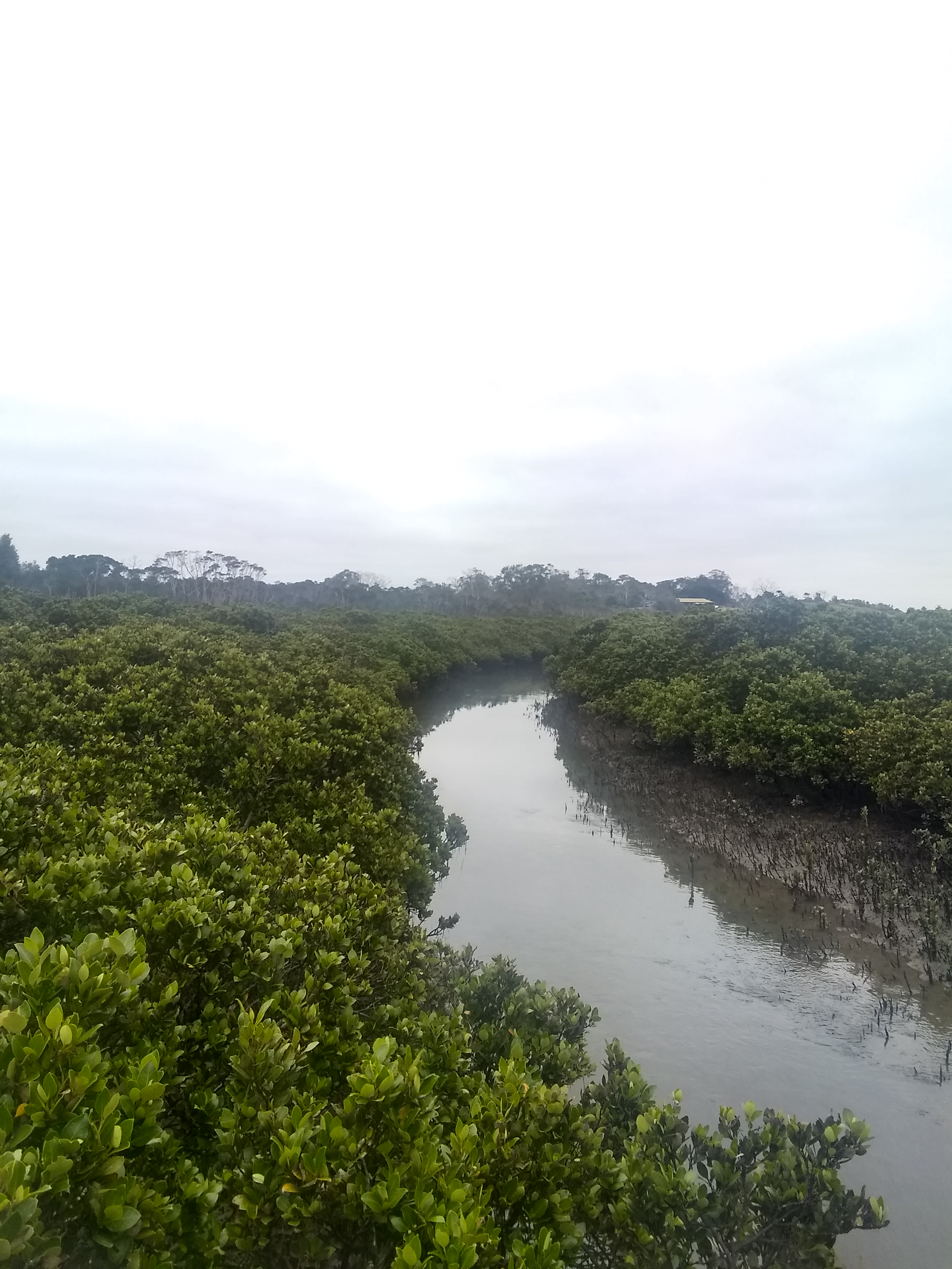 AUS #3: What a week… – Let the memories begin